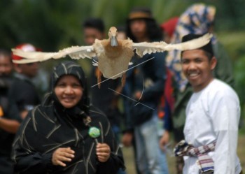 Pacu itiak segera difilmkan – Padang Properti